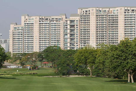 Home Storey